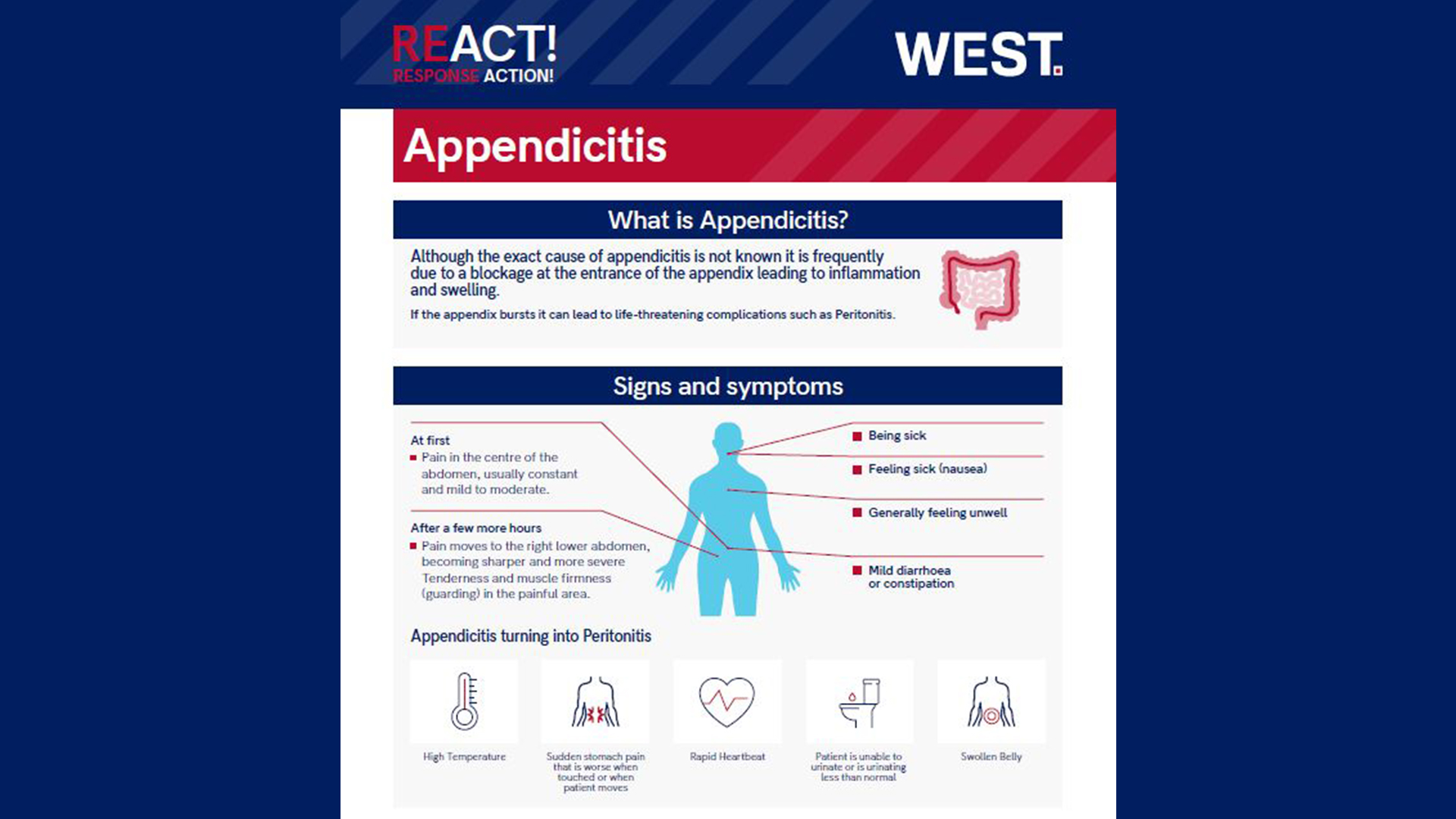 What Is Appendicitis Facts About Appendicitis Infographic NewMediaWire